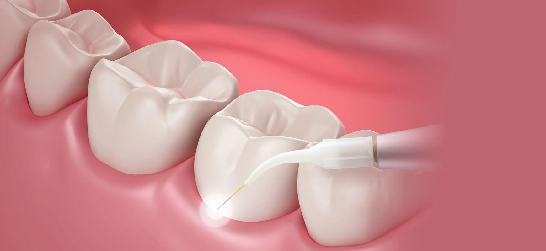 Anasayfa | Dünya Diş